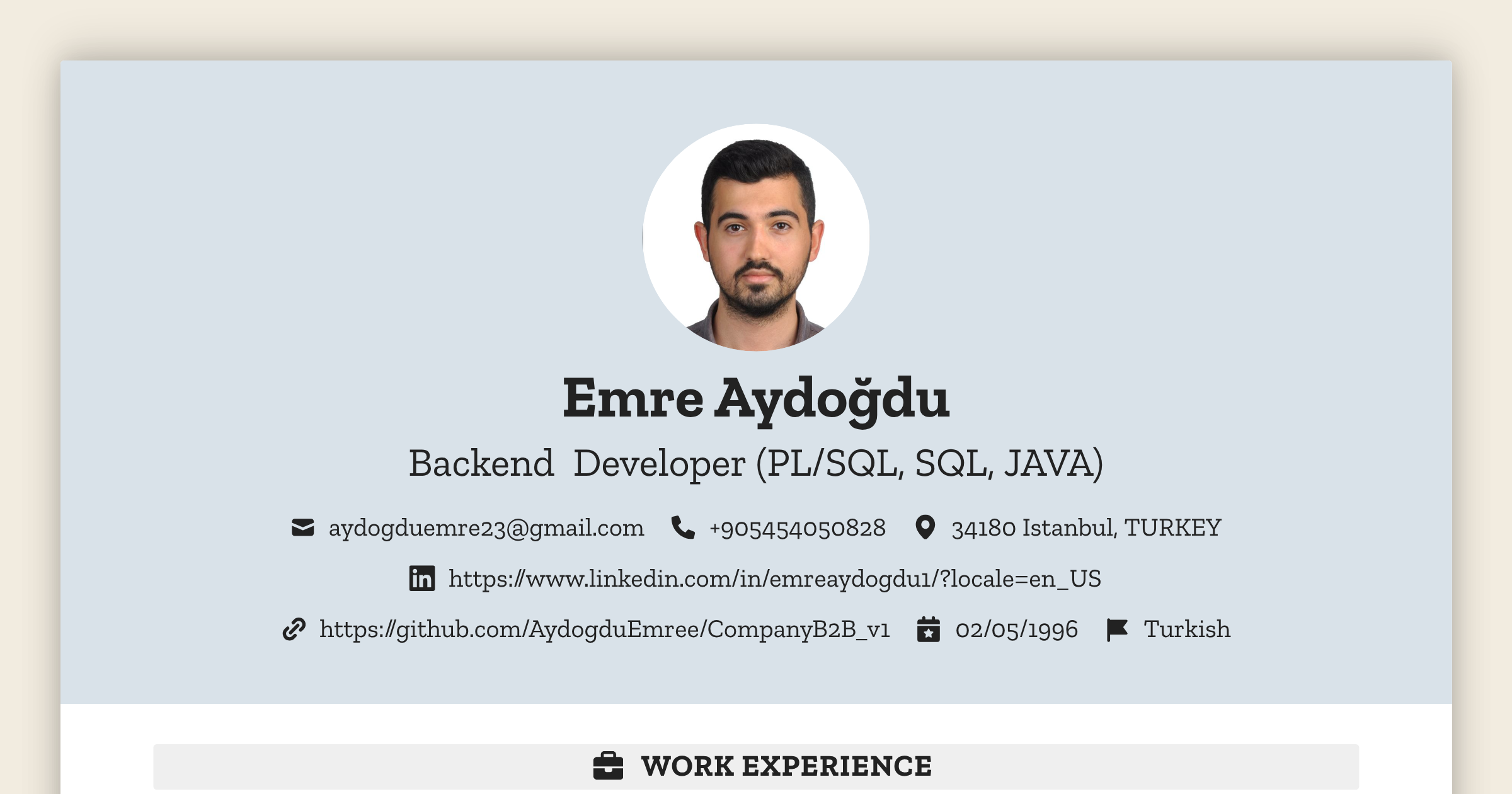 Emre Aydoğdu – Online Resume