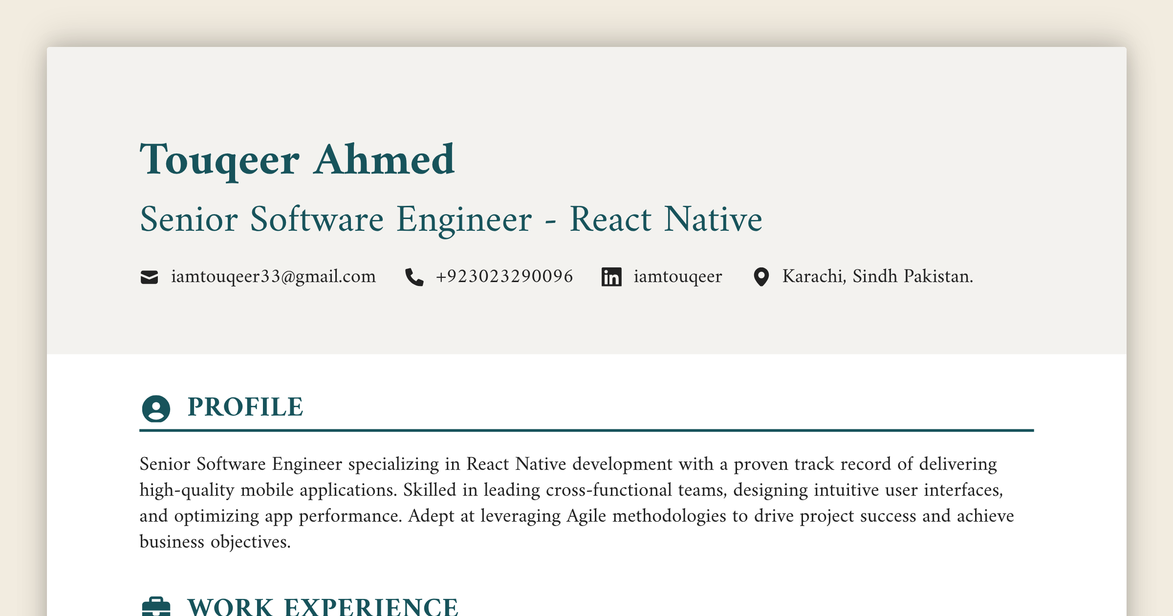 Touqeer Ahmed – Online Resume