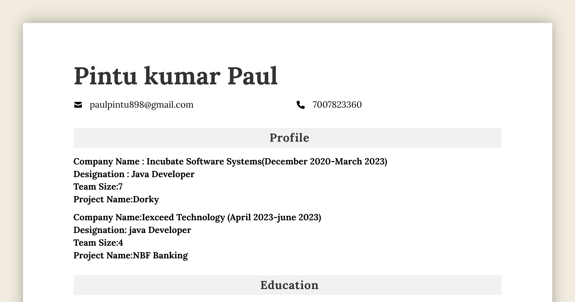 Riya Raj – Online Resume