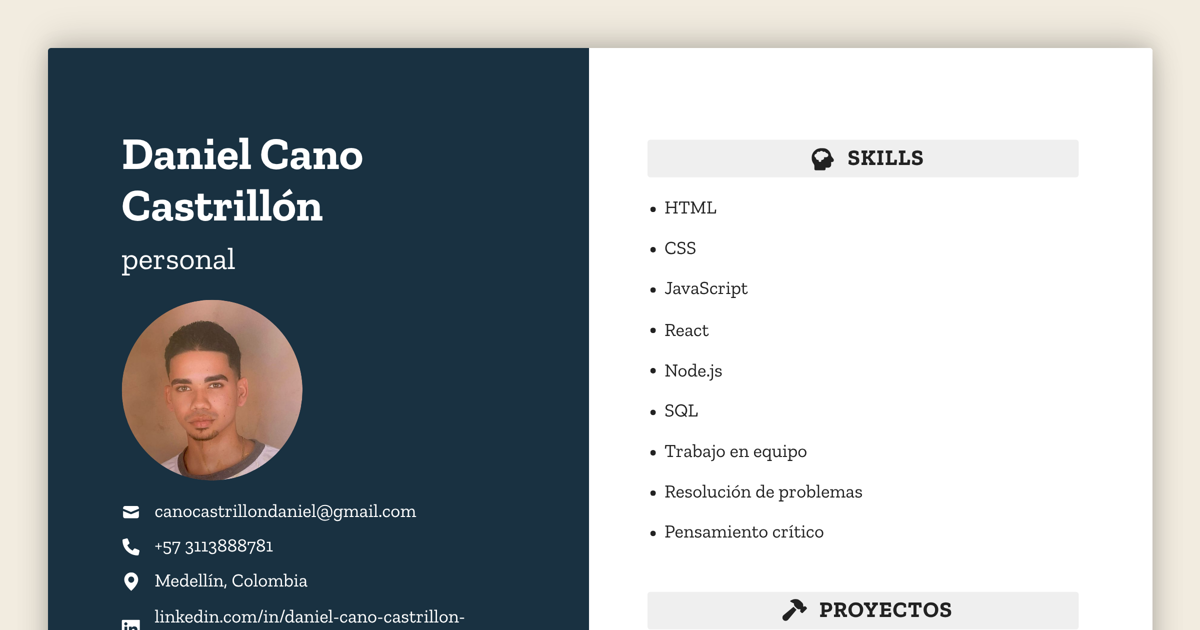 Daniel Cano Castrillón – Online Resume